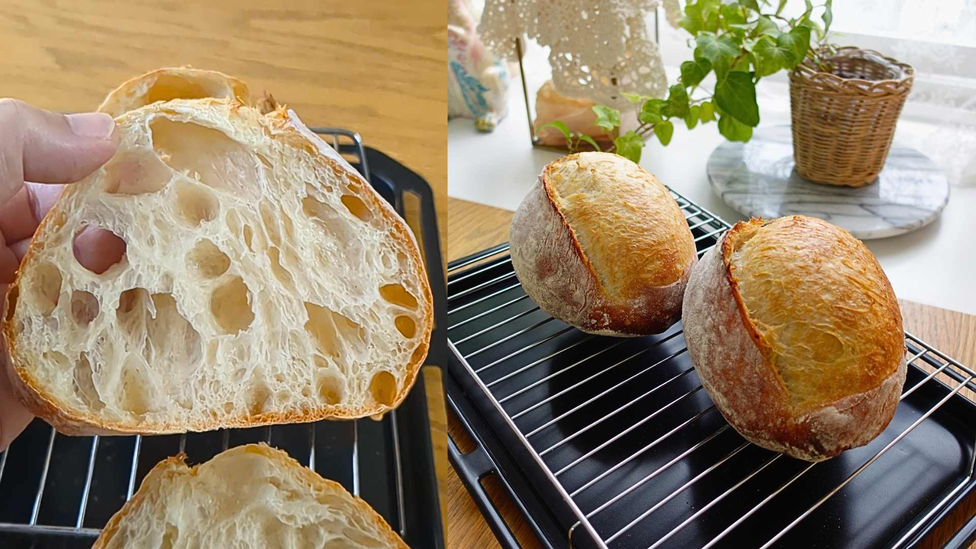 敷島製パン（Pasco）から新ブランド！国産小麦シリーズ『和小麦』登場します | 毎日がパン